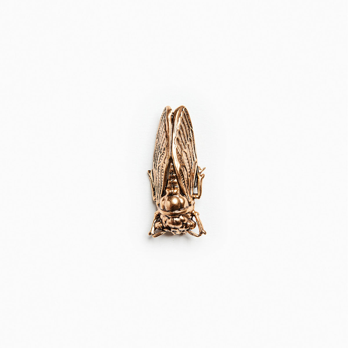 Cicada Brooch – FALLEN ARISTOCRAT