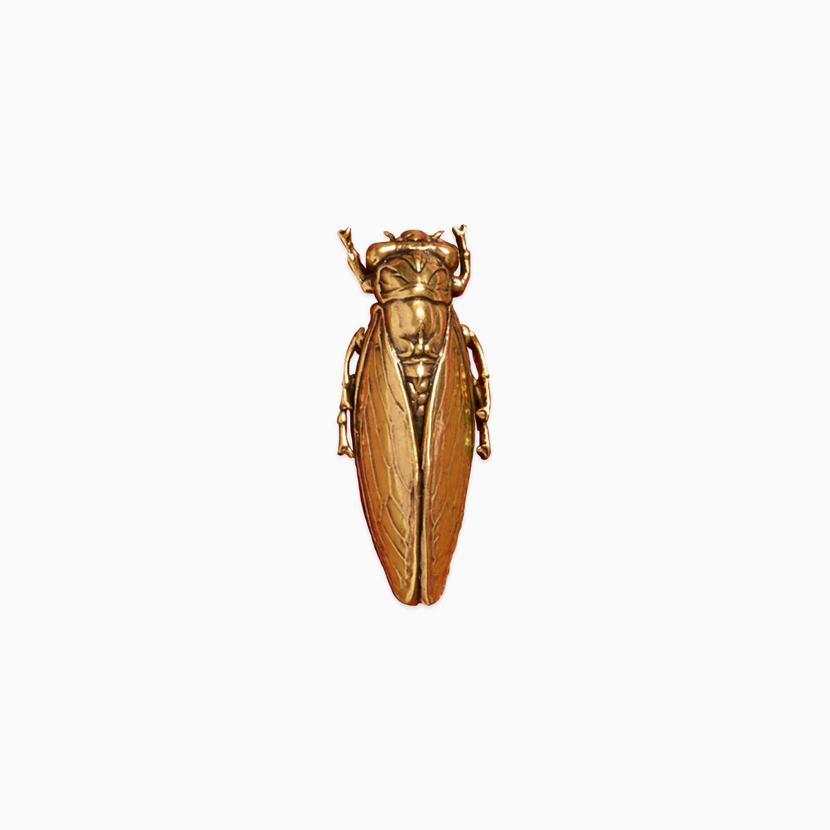 Cicada Brooch Large – FALLEN ARISTOCRAT